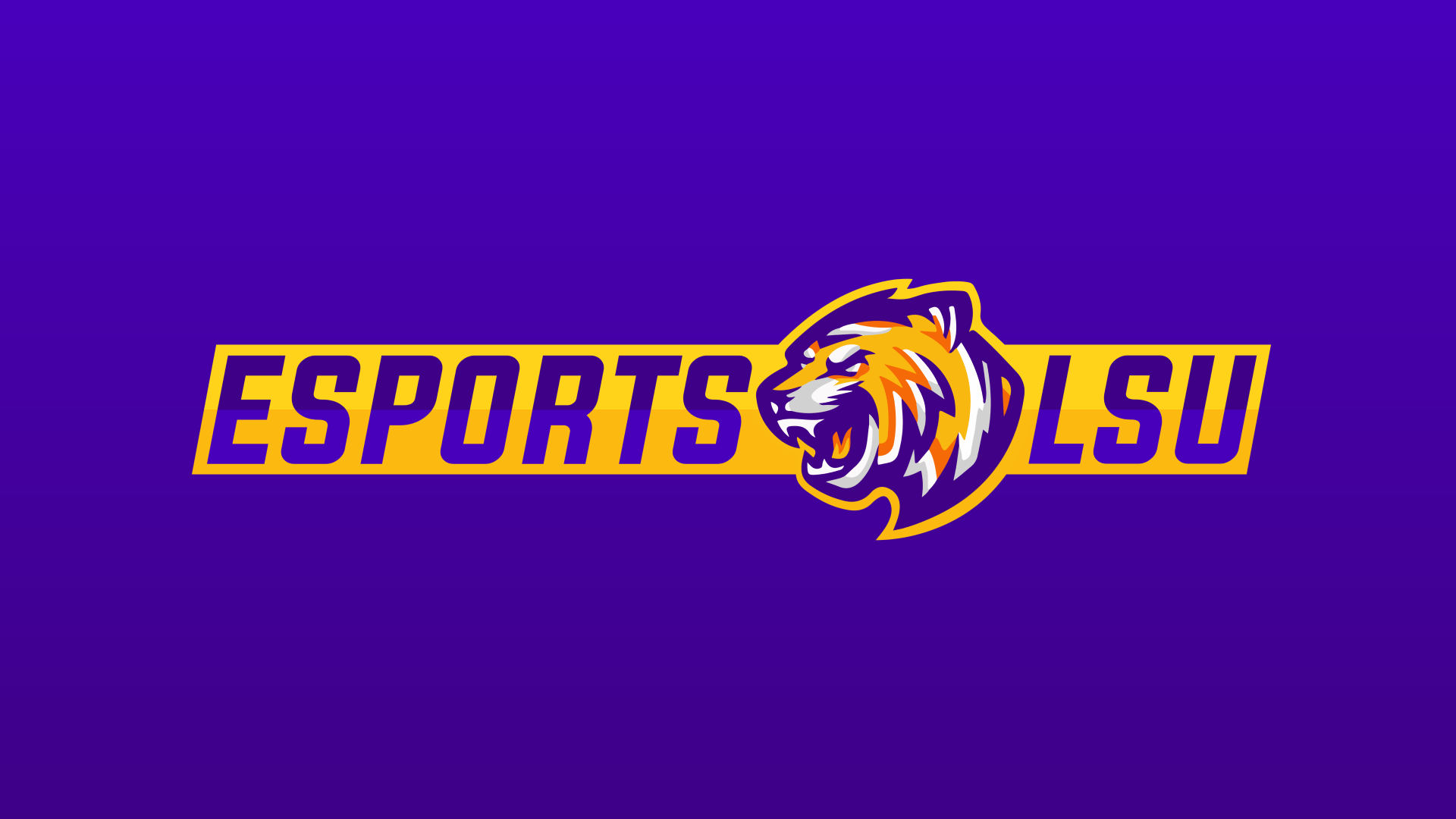 Media | Esports LSU